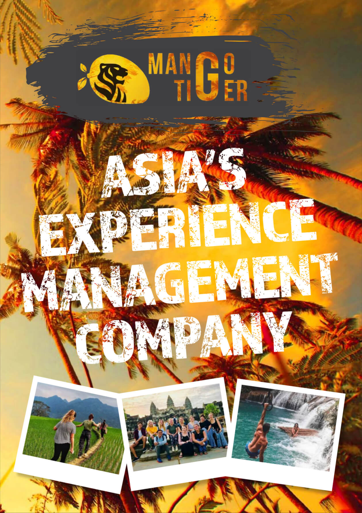 Mango Tiger - Experience Management Company