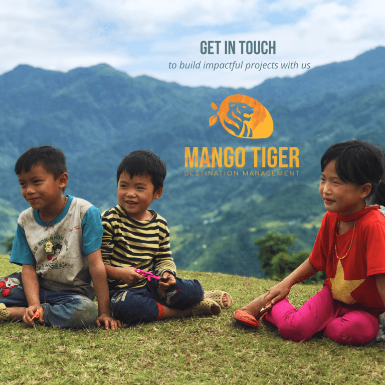 Mango Tiger - Mango Tiger Travel